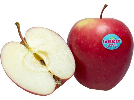 « Les pommes Breeze de Nouvelle-Zélande jouissent d'une grande ...