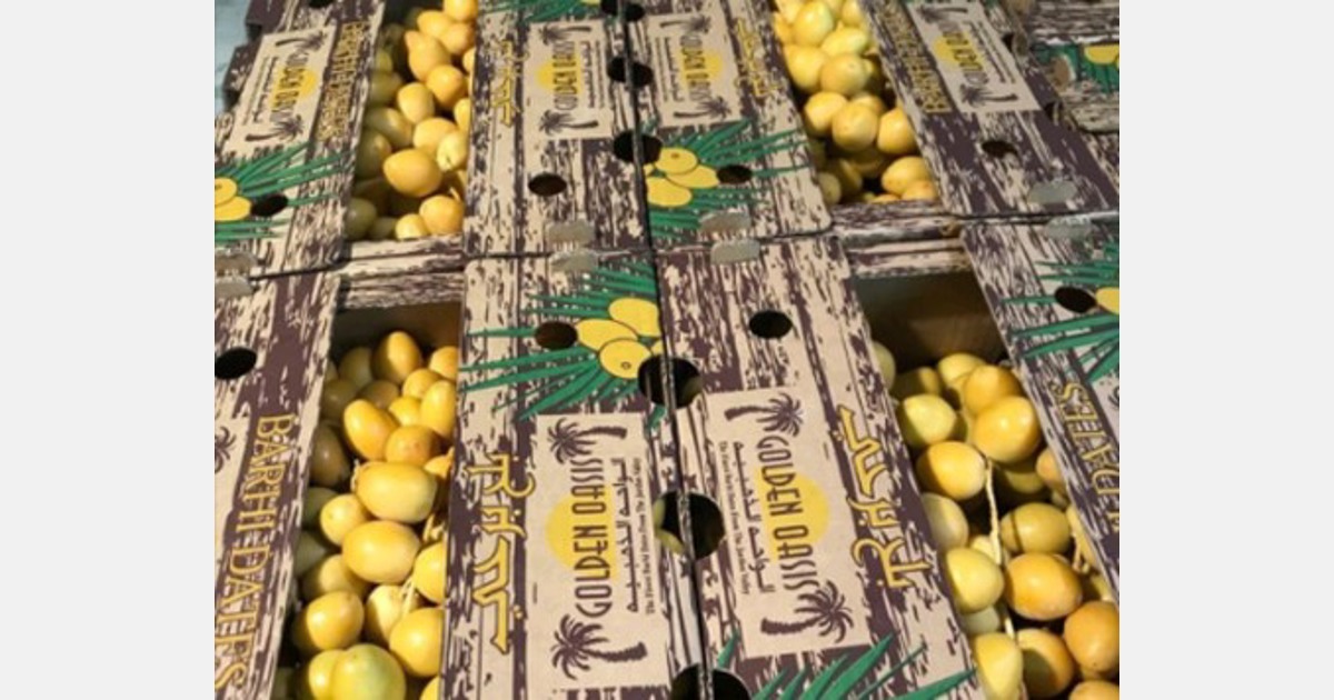 « La datte barhi d’origine Jordanie est désormais disponible