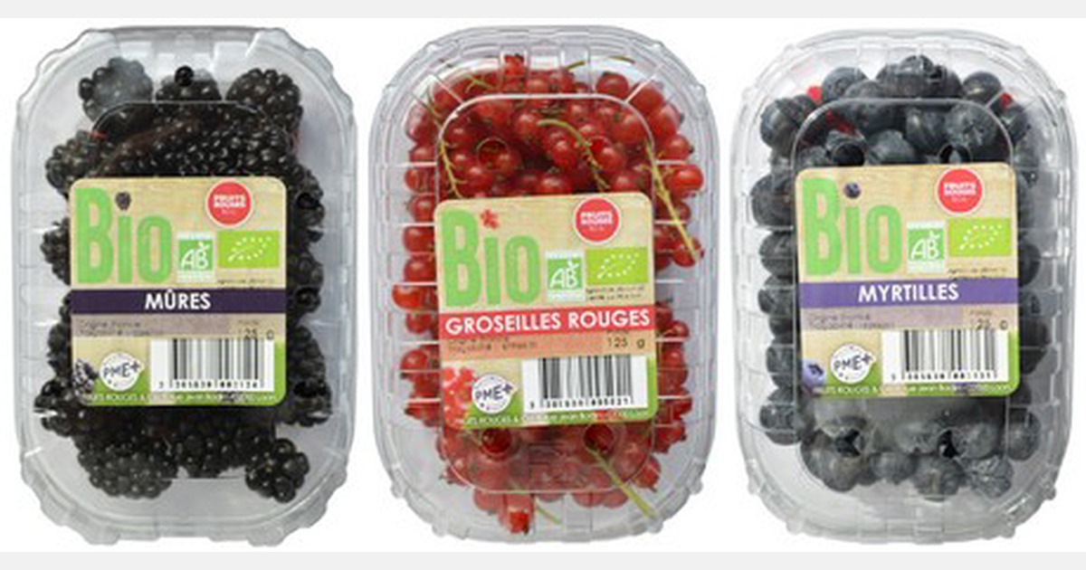 « Nous visons les 100 tonnes de fruits rouges bio origine France pour ...