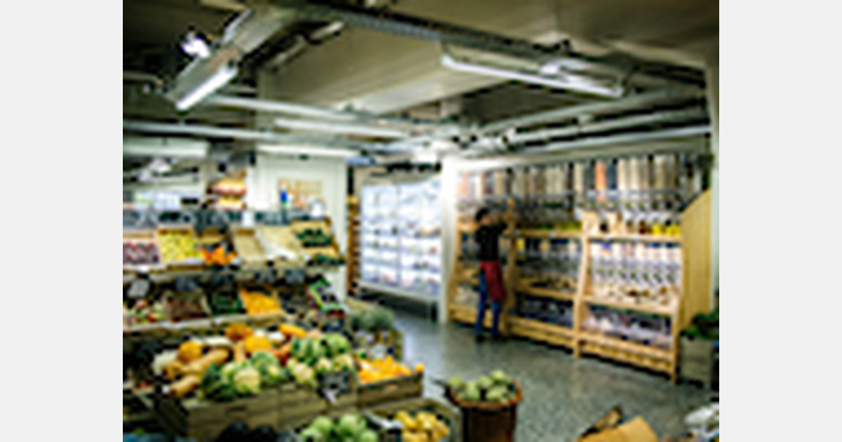 Les magasins spécialisés affichent une forte croissance en 2020