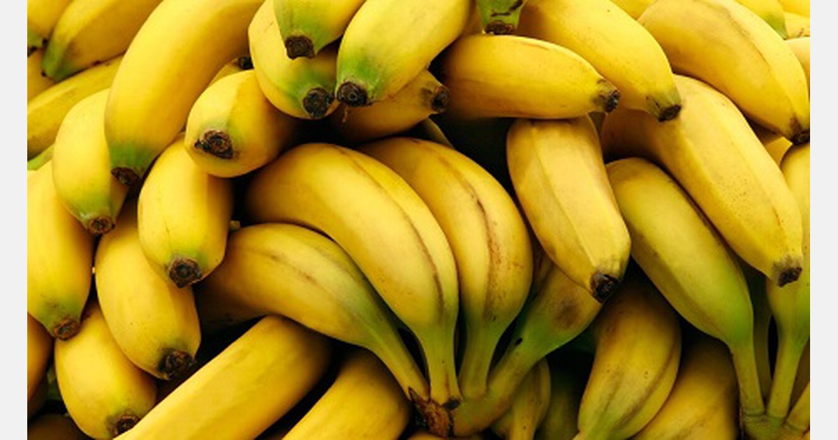 La Super Banane pour un monde plus équitable et durable