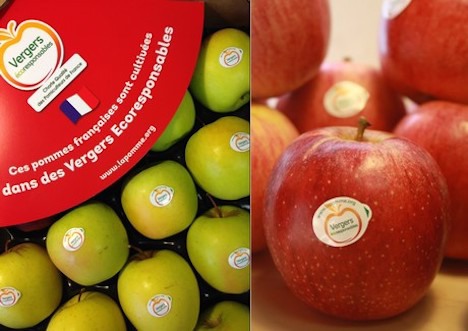 « Il faut absolument que l’ensemble des calibres de pommes soit valorisé