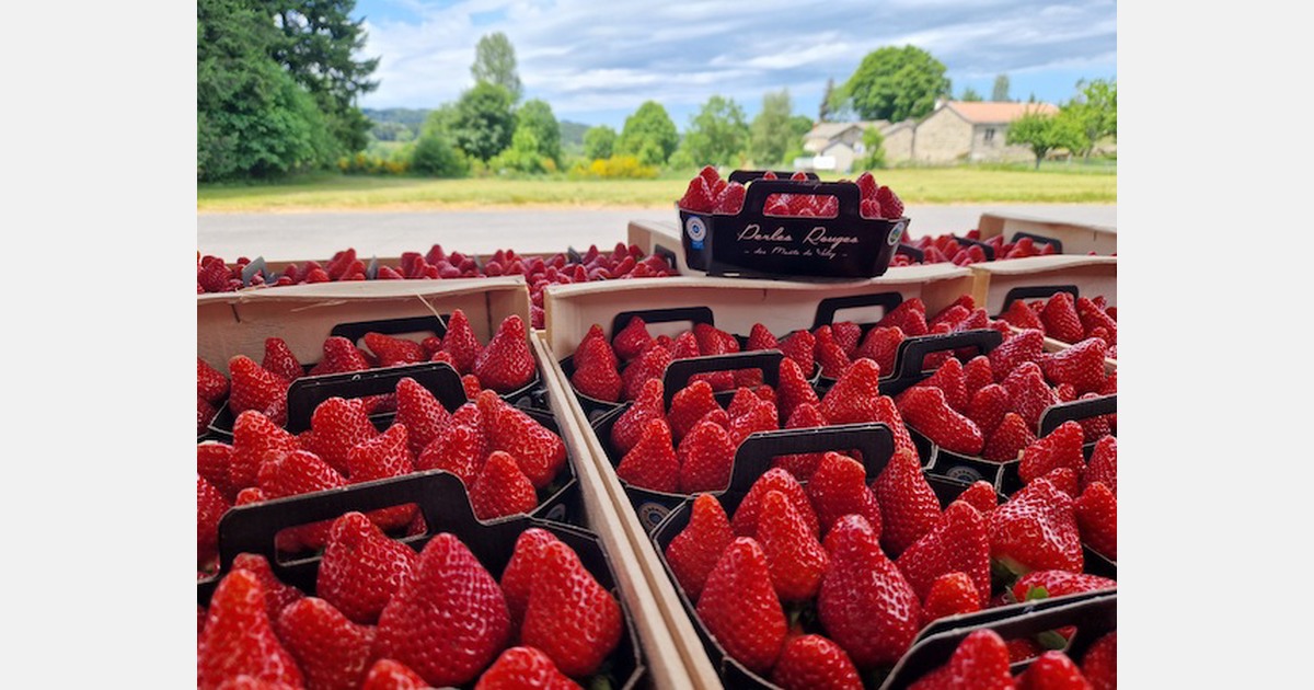 « L’altitude des Monts du Velay est un atout essentiel dans la ...