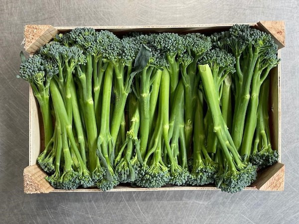 Le nouveau légume Bimi Brocoli désormais disponible en GMS sur le ...