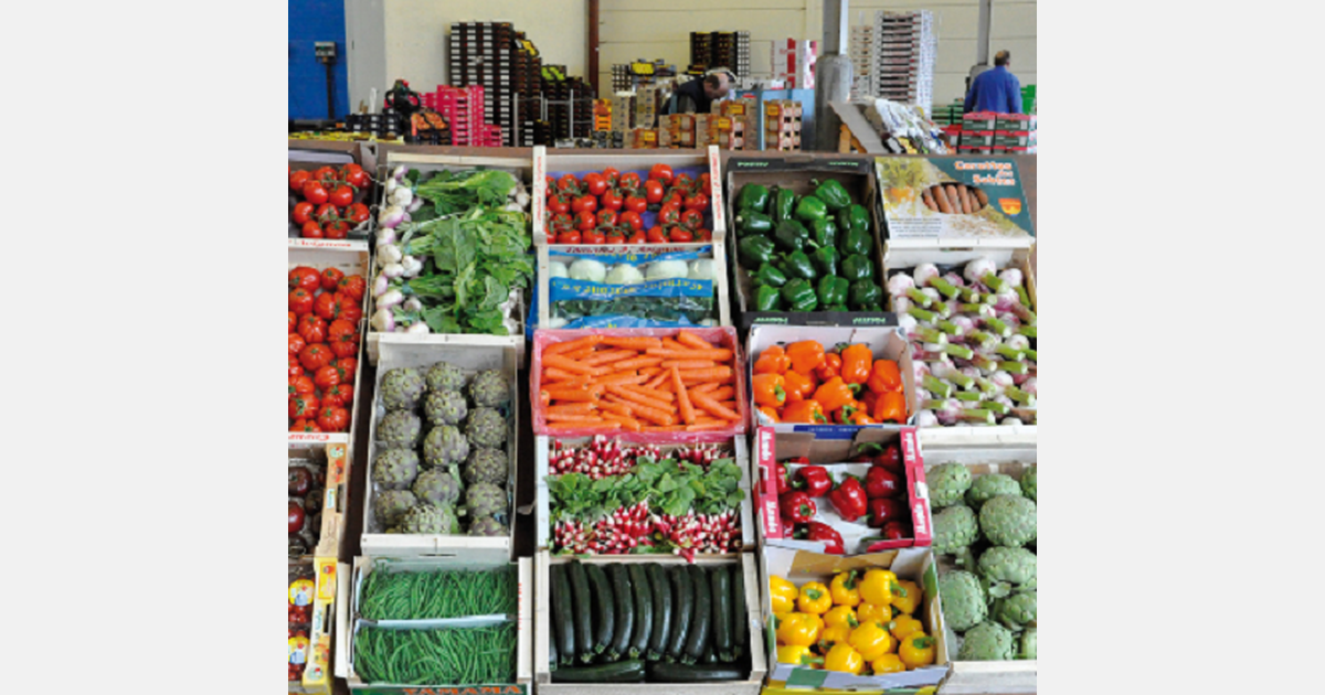 Le Goût en Couleurs : le Festival des Fruits et Légumes organisé par le ...