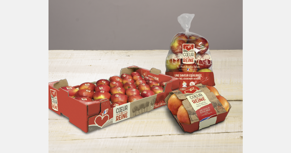 Début de saison pour la Cœur de Reine : une pomme authentique ...