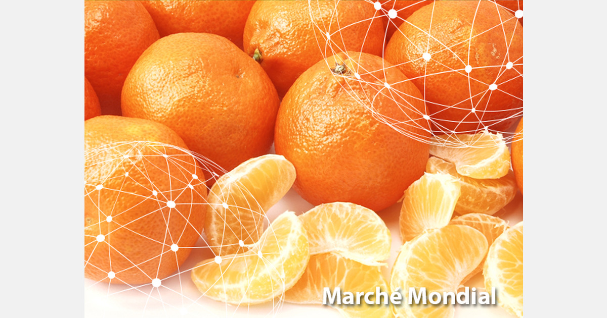 Marché mondial : la mandarine