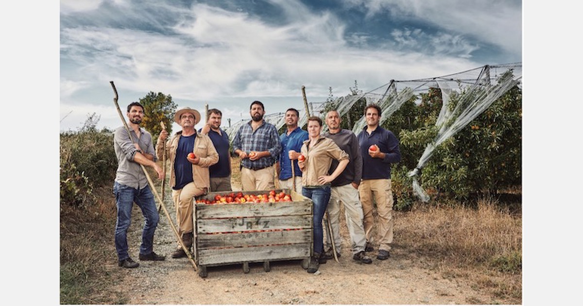 Campagne de la pomme Jazz 2022-2023 : « Accrochez-vous, y’a du lourd