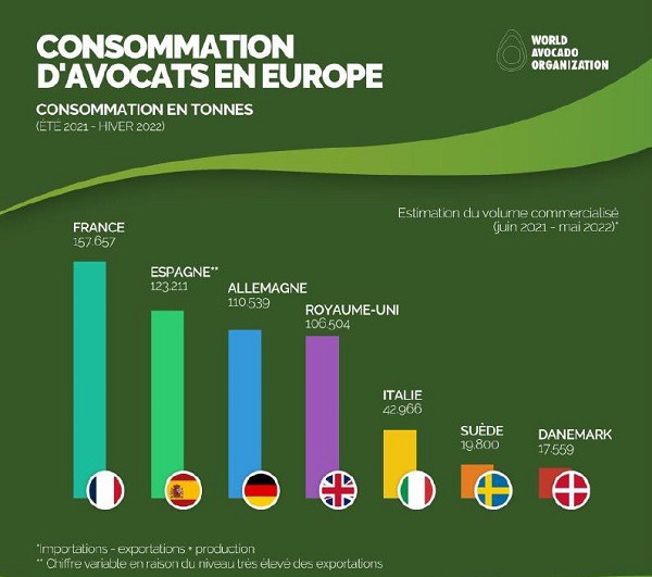 La France est le premier pays consommateur d'avocats en Europe
