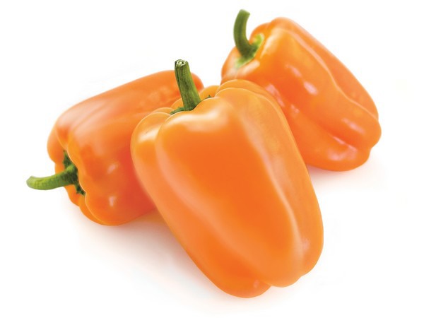 « Notre snack représente une évolution dans la catégorie des poivrons