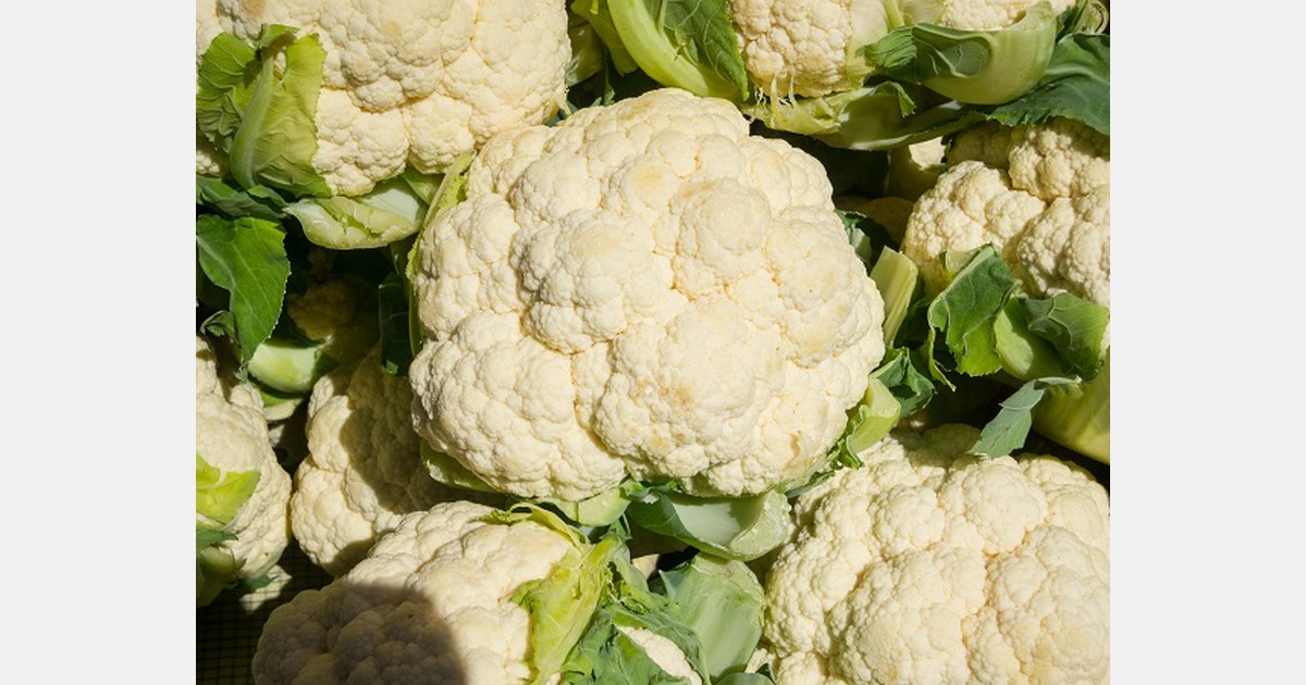 Une saison très « compliquée » pour le chou-fleur