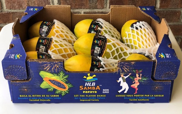 De nouvelles variétés de papayes arrivent sur le marché