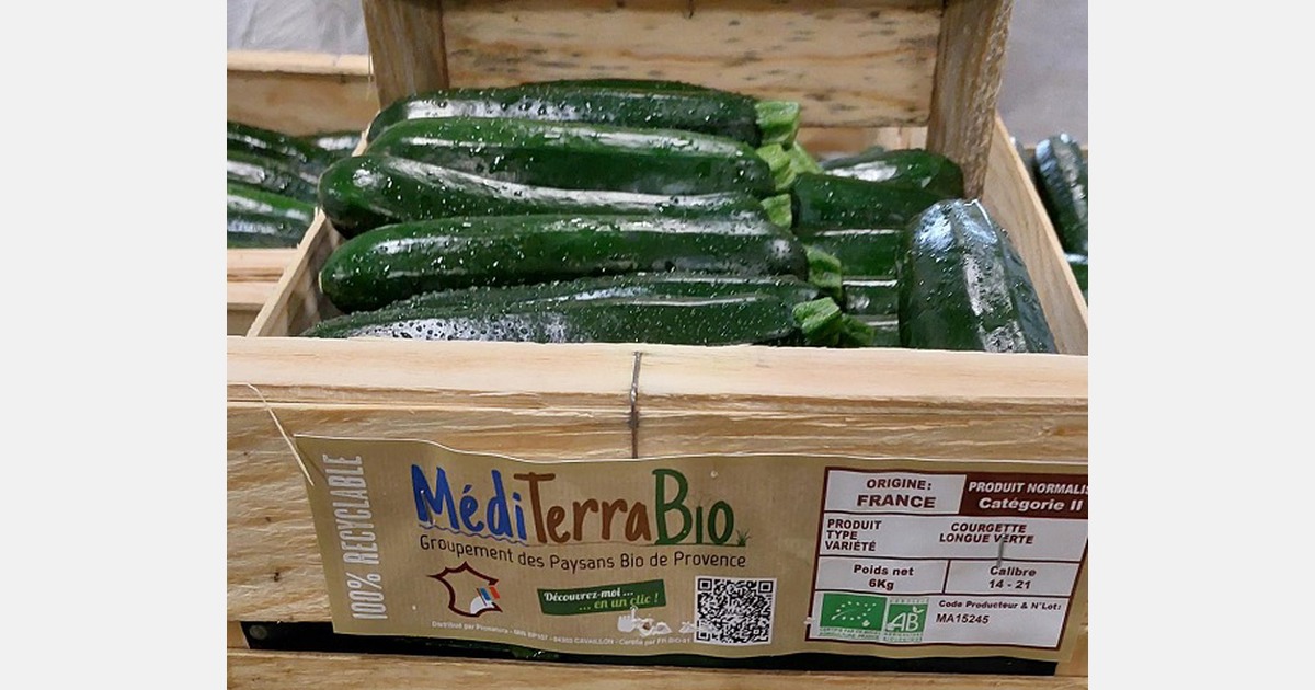 « Courgettes et légumes primeurs bio français, issus de serres non ...