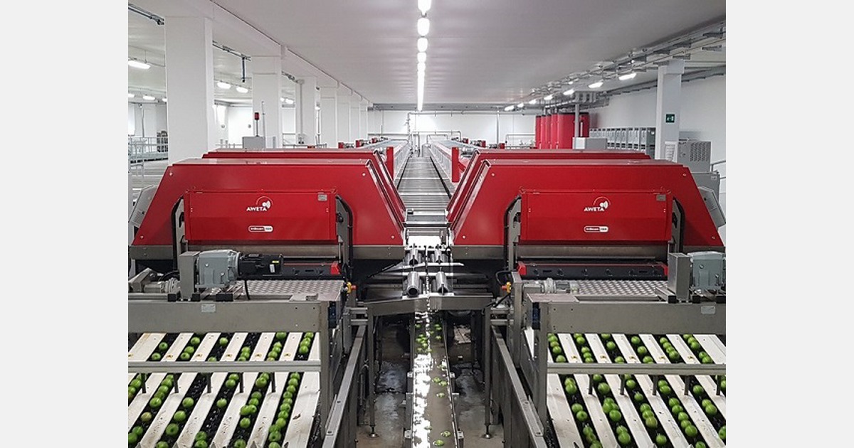 Aweta confirme sa place dans la pomme