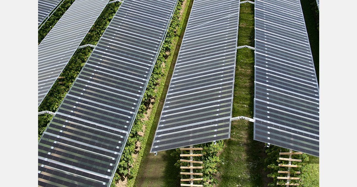 Agrivoltaïsme : « Un atout pour les producteurs de fruits en période de ...