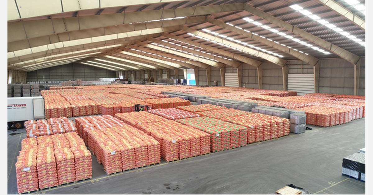 « Les exportations d'oignons se limitent en grande partie au Sénégal et ...