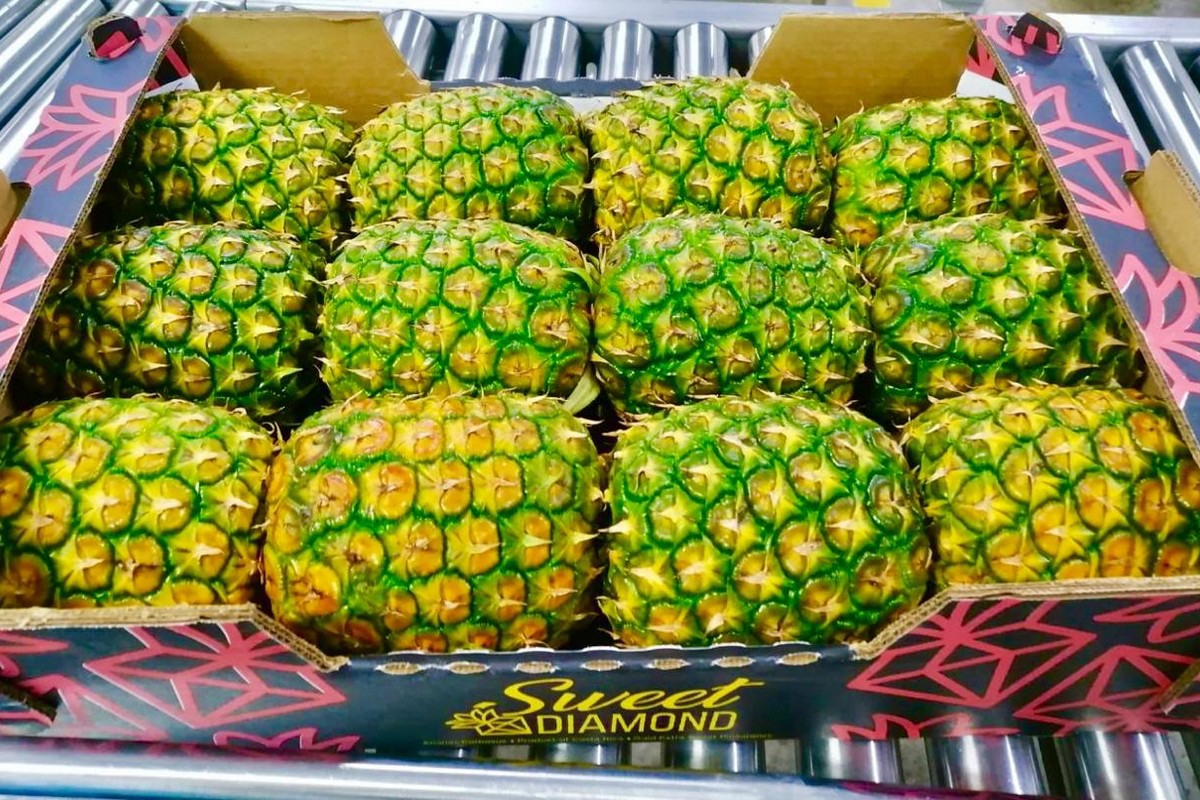« L'exportation d'ananas sans couronne n'est pas valorisé