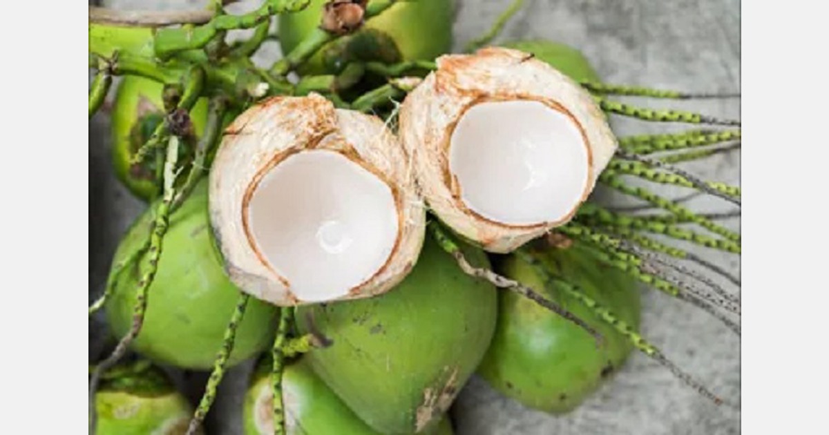 La découpe de noix de coco au Cambodge