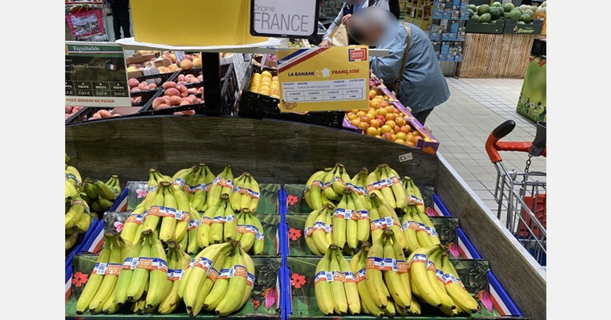 La banane de Guadeloupe & Martinique élue marque préférée des français