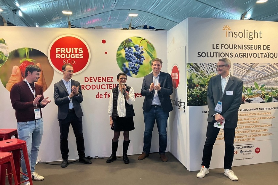 Développer la filière française de fruits rouges grâce à l'agrivoltaïsme