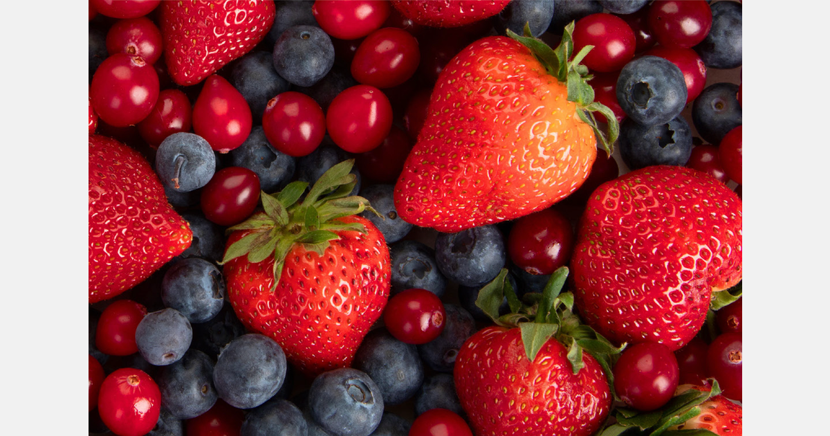 « La filière des petits fruits rouges dans les Hauts-de-France présente ...