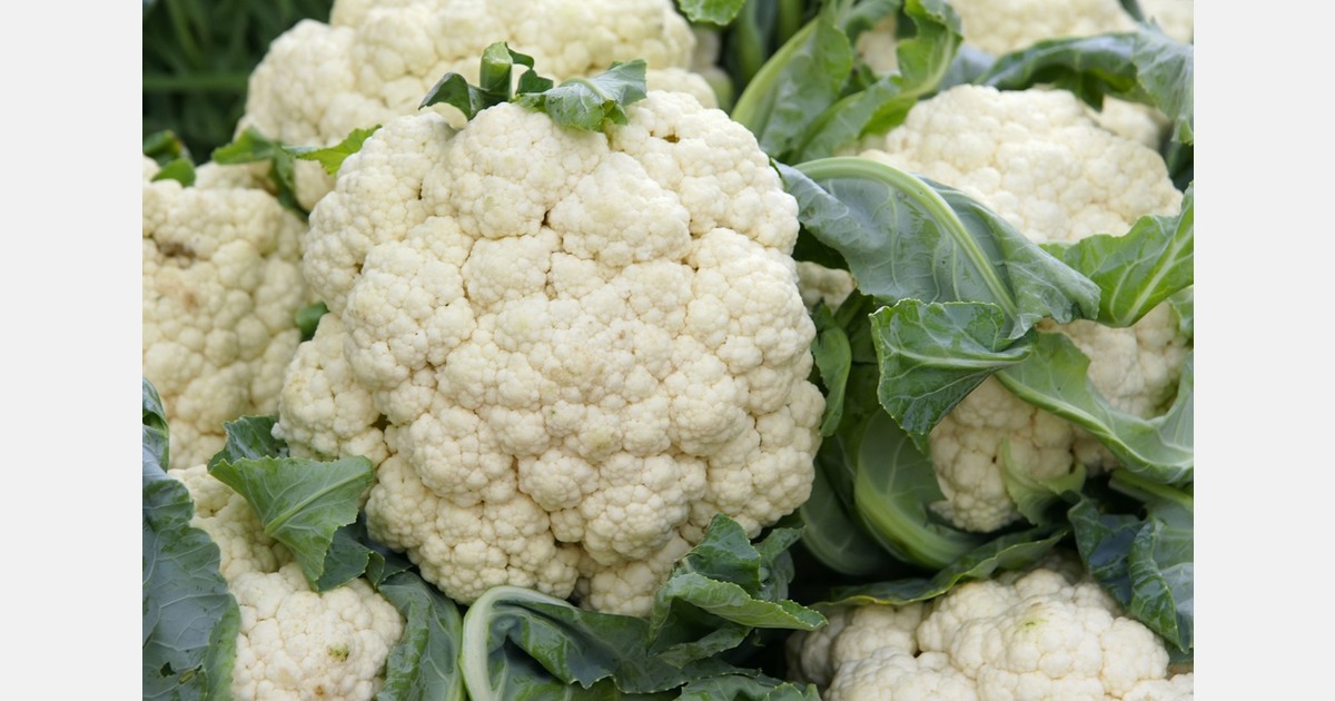 Une production de choux-fleurs en recul sur la campagne 2024-2025 selon ...