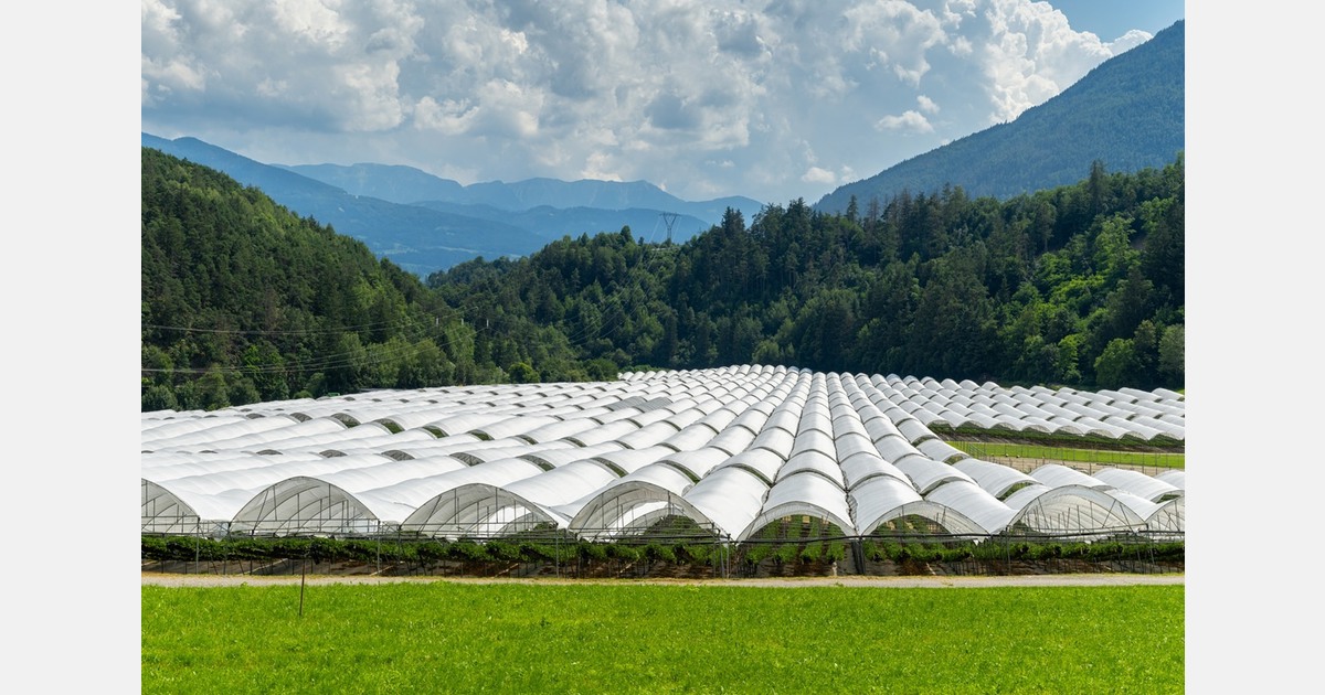 Le Groupe Arrigoni renouvelle son identité visuelle