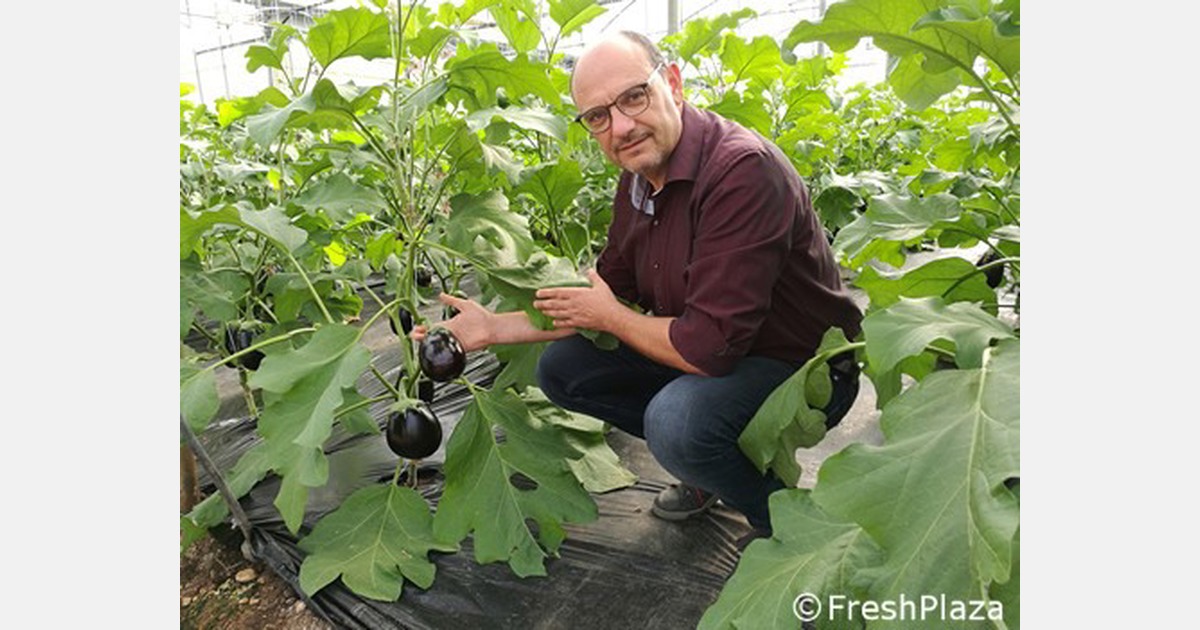 La hausse des taux d’intérêt met en péril le développement d’entreprises saines