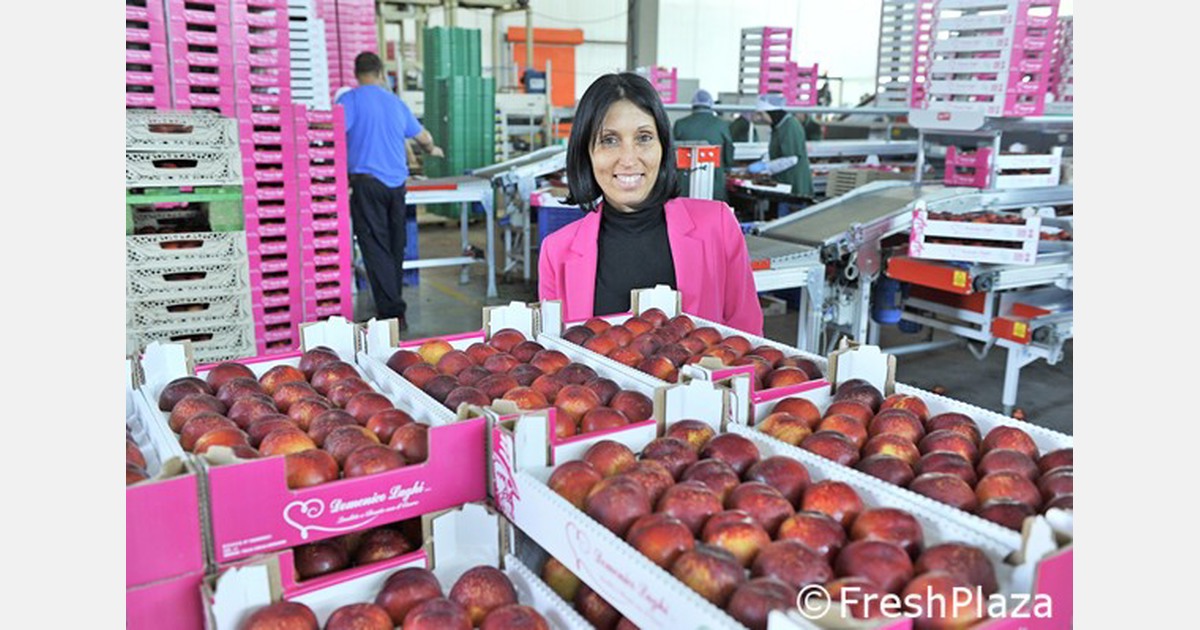 Introduction des fruits rouges en plus des fruits à noyau