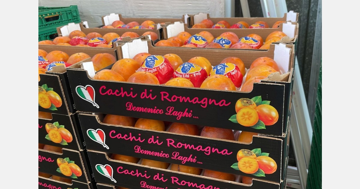 « Les prix du kaki en grande distribution sont bons, c'est un peu plus ...