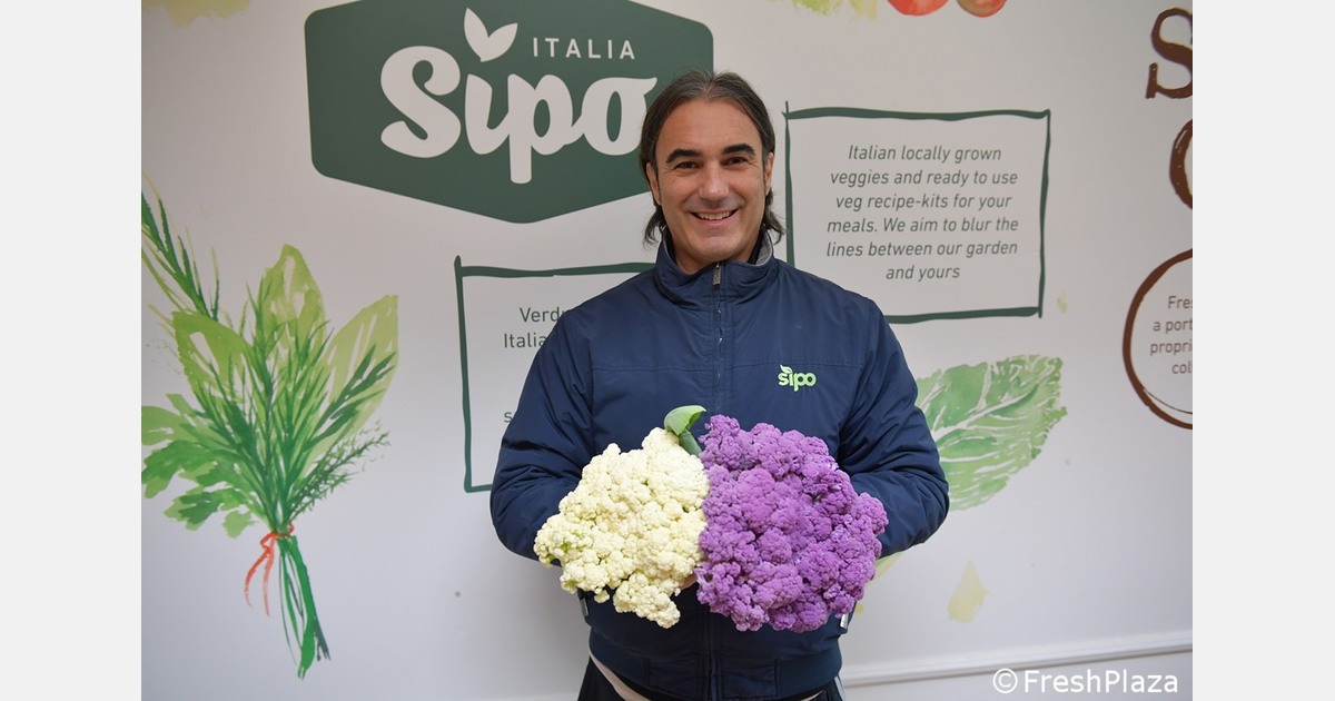 La vente de choux-fleurs Fioretto démarre