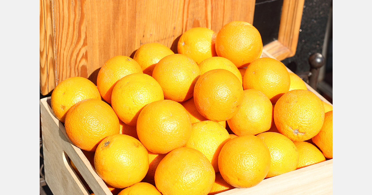 L'UE rejette les oranges argentines pour cause de tache noire