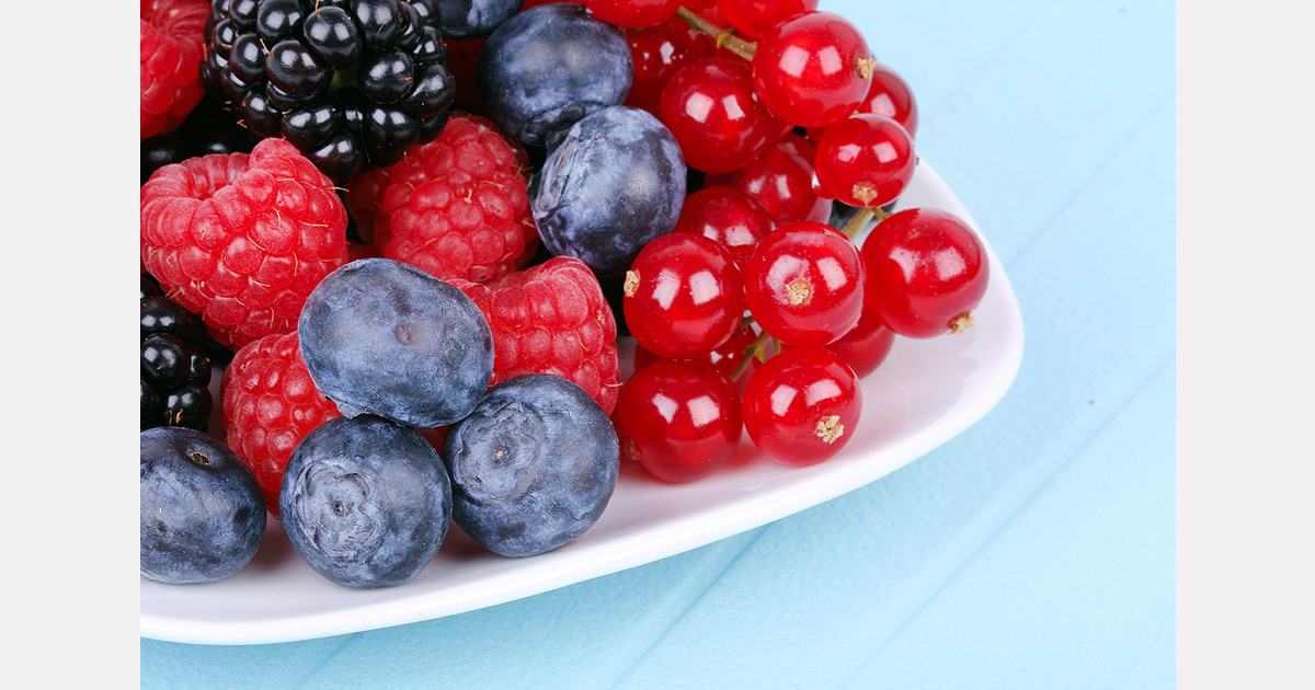 De nouvelles normes de sécurité alimentaire pour les fruits rouges, les ...