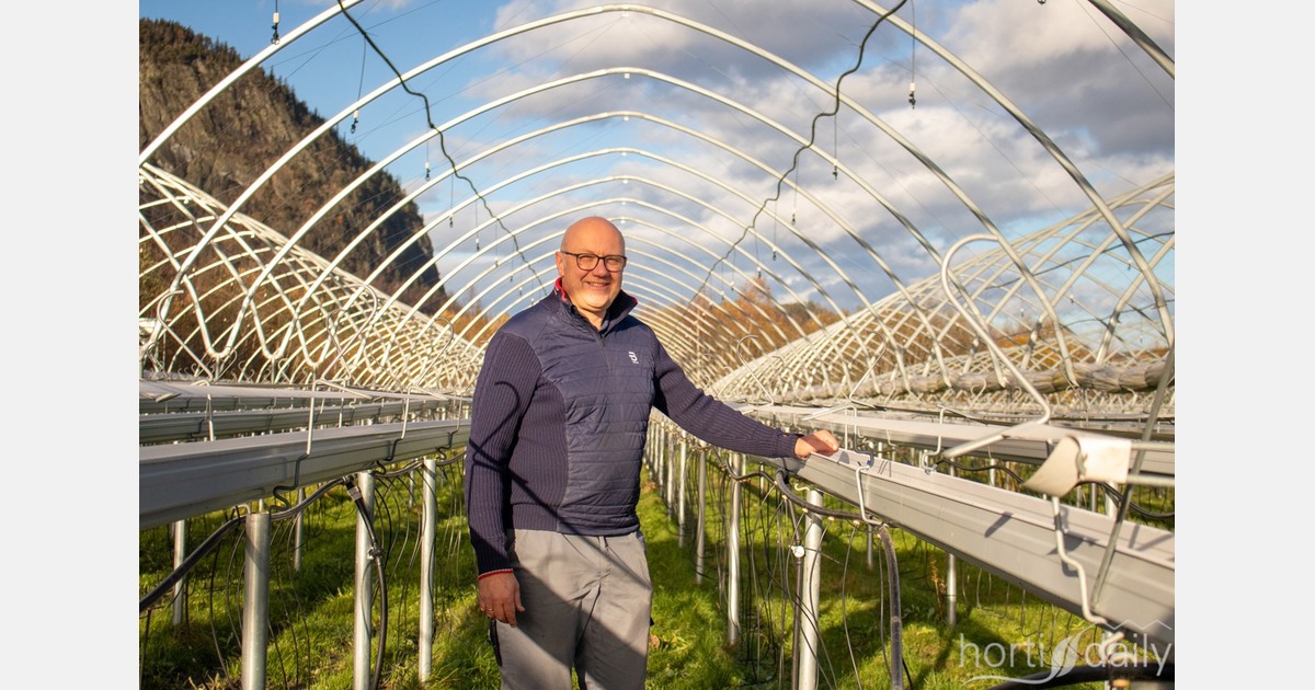 Norvège : les producteurs de fruits rouges s'organisent pour lutter ...